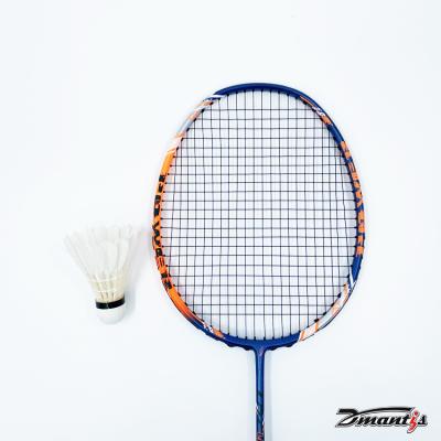 Cina Full Carbon Badminton Rackets with Carrying Bag Without String in vendita