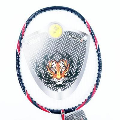 Cina China Factory Dmantis DMS55 Badminton Racket China Brand Good Quality High Level in vendita