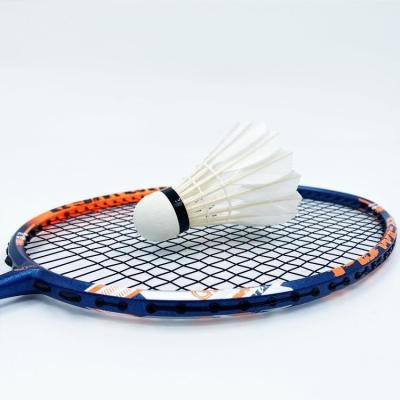 Cina Light Professional Full Carbon 100% Grafite Fiber Badminton Raquet Rackets For Sports in vendita
