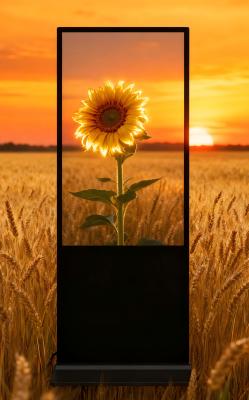 China 16 9 Display Scale Floor Standing Digital Signage Run Memory DDR3 1GB/2GB Support Horizontal/Vertical Installation for sale