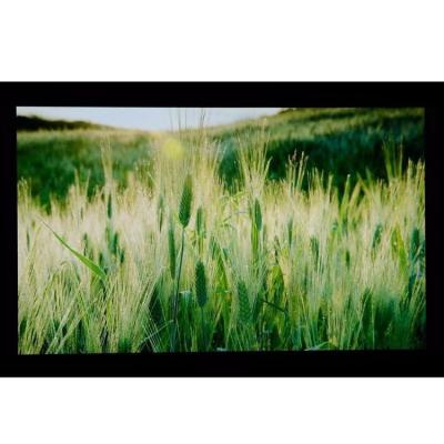 China 10.1“ LCM 1024×600RGB   350cd/m ²   LQ101W3LG01 scherpe TFT LCD-Vertoning Te koop