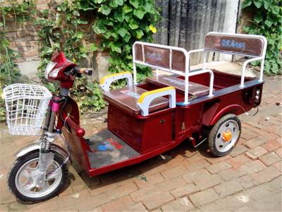 中国 ブラシレス電気貨物三輪車 販売のため