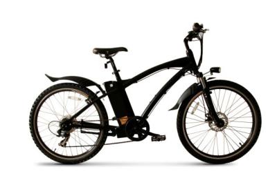 Cina Bicicletta elettrica della montagna gigante a 26 pollici in vendita