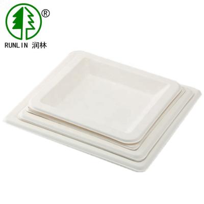 Китай Квадрат цвета Recyclable устранимых Biodegradable плит багассы сахарного тростника естественный белый продается