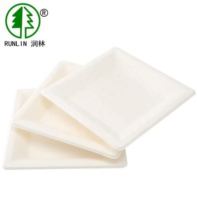 Китай Прямоугольная багасса сахарного тростника Eco дружелюбная Biodegradable покрывает бумагу дня рождения продается