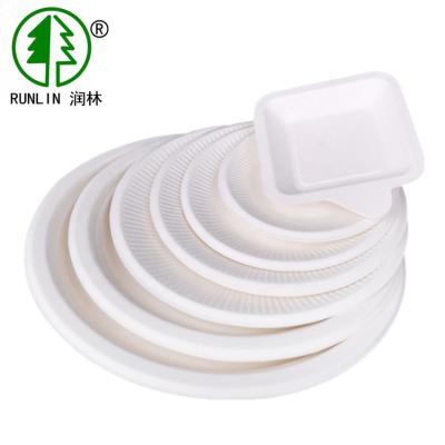 中国 サトウキビの白いEcoの友好的な版の生物分解性のCompostableバガスの皿 販売のため