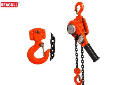 Chine Acier inoxydable grue de levier de chaîne de 3/4 tonne pour le projet, 1 an Warrannty à vendre