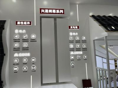 China Monocrystalline Photovoltaic Solar Power Panels with 6.69V Open-Circuit Voltage and 8.37A Optimum Operating Current for sale