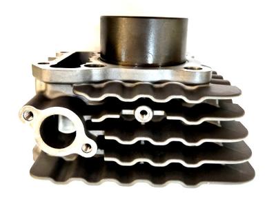 Chine Bloc moteur BAJAJ205 N/M de tricycle/moto/aspect doux de BAJAJ 3W à vendre