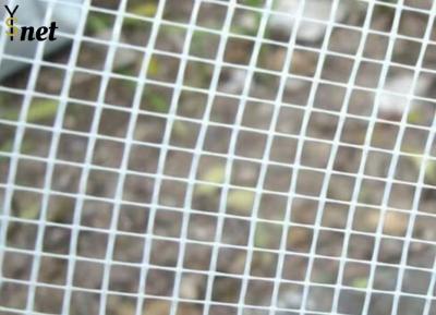 China Orange Plastering Fiberglass Mesh 5X5mm Plaster Mesh Roll 160g For Wall for sale