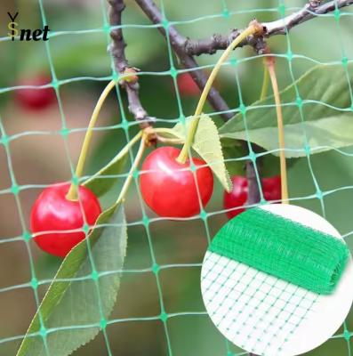 China Outdoor Bird Proof Net 3m / 5m Knotted Nylon Netting For Garden And Balcony for sale