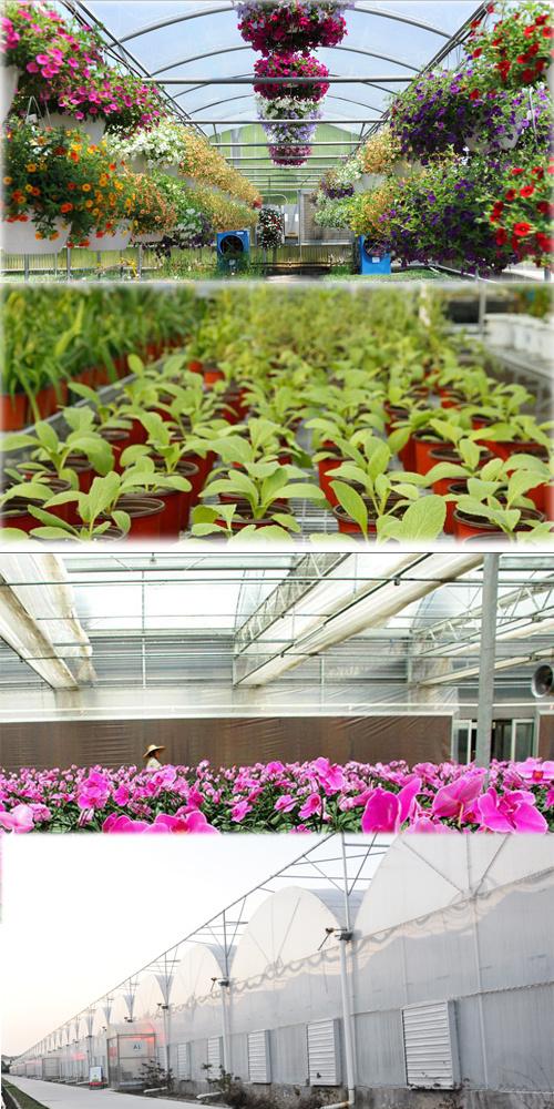 Anti-Drip Fogging Film Greenhouse for Flowers