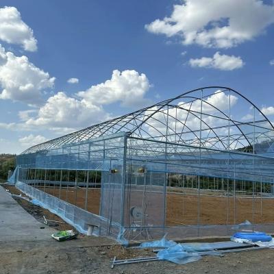 Cina Serra per l'agricoltura in plastica a forma di arco per pomodori e fragole con sistema di coltivazione idroponica in vendita