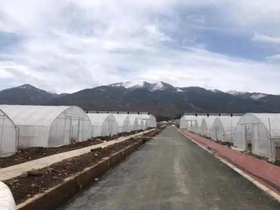 Cina 20.000kg Pacchetto Peso lordo Copertura con pellicola tubi d'acqua Soluzione idroponica in serra in vendita