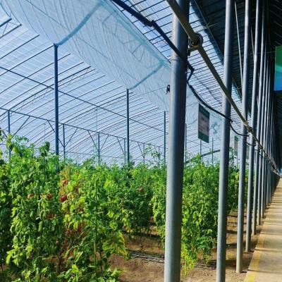 Cina PE Film Plastic Agricoltura Soluzione serra Pacchetto Dimensione 50,00cm * 60,00cm * 50,00cm in vendita