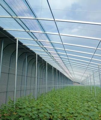 Cina Tecnologia doppio strato agricolo pellicola di plastica idroponica serre per l'acquacoltura in vendita