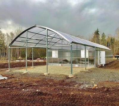 Cina Serra in vetro Venlo multi-span con sistema idroponico Cocopeat e personalizzazione in vendita