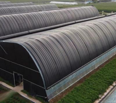 Cina Sistema di coltivazione idroponica a tubo d'acqua multi-span per l'efficienza dell'acquacoltura in serra in vendita