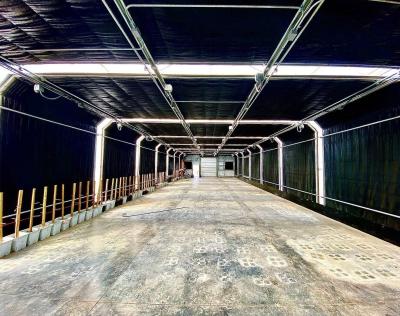 Cina Serra commerciale multi-span con vista floreale finale e terrazza di vetro a righe in vendita