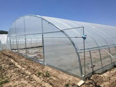 Cina Sezione H Struttura in acciaio personalizzata Progettazione di serre per le esigenze del mercato americano Multi Span in vendita