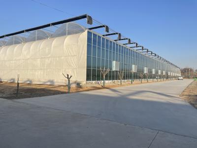 Cina Serre commerciale per l'agricoltura con pellicola di plastica in PE in vendita