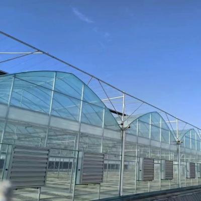 Cina Sistema idroponico a metri quadrati per la produzione su larga scala di ortaggi e fiori in vendita