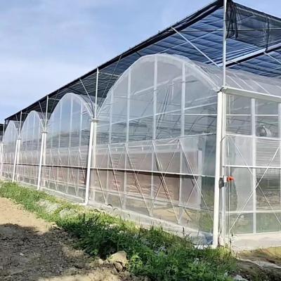 Cina Struttura in acciaio Agricoltura Multi Span Serra idroponica con facile installazione in vendita