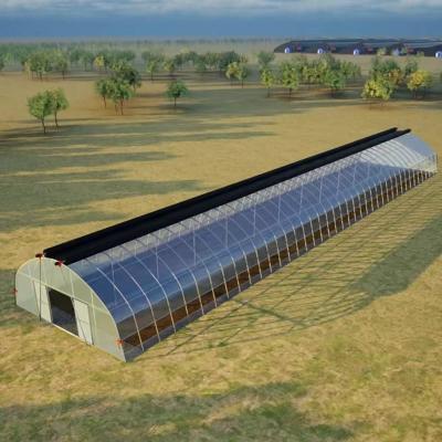 Cina Sistema di coltivazione idroponica in serra con tunnel ad arco multi-span in vendita