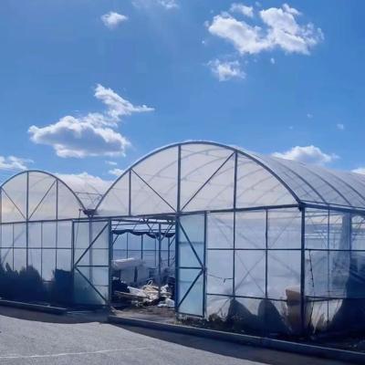 Cina Sistema di coltivazione idroponica di ortaggi in serra multi-span per struttura in acciaio 20.000kg in vendita