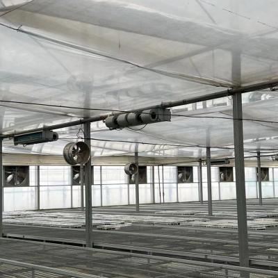 Cina Richiesta personalizzata per la serra multi-spano di Venlo 1 metro quadrato Min.Ordine in vendita