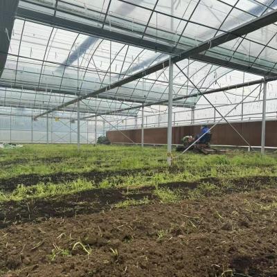 Cina Rimborsi di 30 giorni per il sistema agricolo per tubi d'acqua nelle serre commerciali in vendita