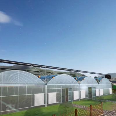 Cina Kit serra per irrigazione a goccia idroponica rivestita con pellicola 20.000 kg Peso lordo del pacchetto in vendita