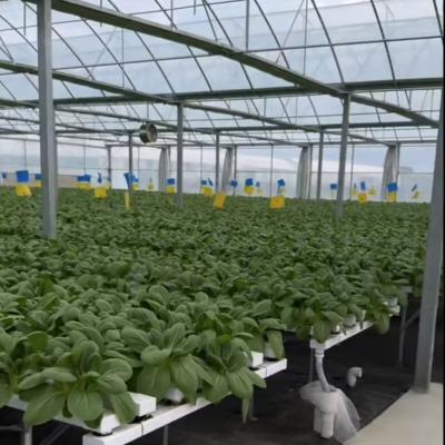 Cina Serra a pellicola multi-span per la coltivazione 20.000 kg Pacco Peso lordo Ritorni facili in vendita