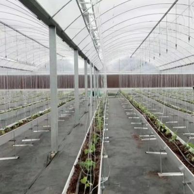 Cina JX-A0045 Serra ad irrigazione a goccia idroponica a marchio entro il pagamento iniziale in vendita