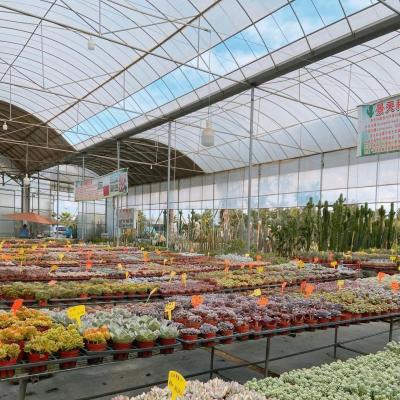 Cina Serra Multi Span con ombra 30 giorni Rimborsi ora in offerta di tempo limitato in vendita