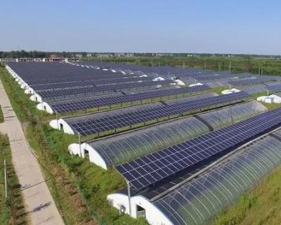 Cina Serra a più strati per la coltivazione idroponica e senza suolo jx-SG-6 con accumulo di calore in vendita