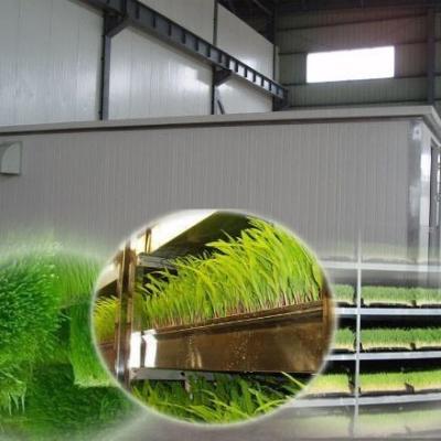 Cina Foraggio in contenitore multifunzionale per la coltivazione a doppio strato di fiori/verdure/sementi in vendita