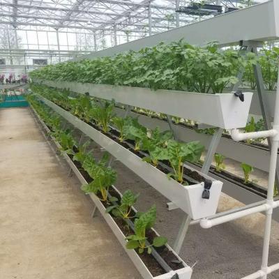 Cina Serra con contenitore verticale di coltivazione a lunghezza superiore con sistema di coltura del substrato in vendita