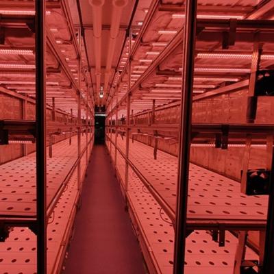 Cina Container per l'allevamento di pesci per trasporto verticale con serre agricole multi-span in vendita