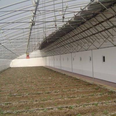Cina 2000.000kg Coltivazione di pomodori e cetrioli Soluzione serra a luce solare con tetto ad arco in vendita