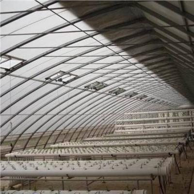 Cina Coltivazione di ortaggi avanzata Serra a luce solare 40HQ Contenitore Reefer per Superior in vendita