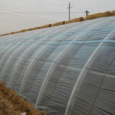 Cina Pagamento iniziale piantagione commerciale di pomodori soluzione serra a luce solare Inizia ora in vendita