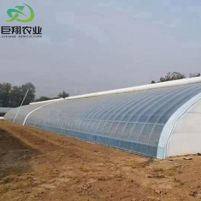 Cina Tubi di acciaio galvanizzati a caldo film agricolo idroponica serre materiale da costruzione in vendita