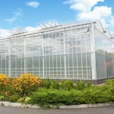Cina Personalizzazione di serre in vetro multi-spano ecologica e tempi di consegna stimati in vendita