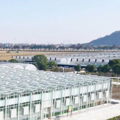 Cina Serra in vetro multifunzione per soluzioni di coltivazione di ortaggi acquaponici personalizzate in vendita