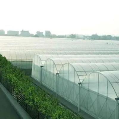 Cina Serra a doppio strato per la coltivazione senza suolo di pomodori cetrioli coltivazione di fiori in vendita
