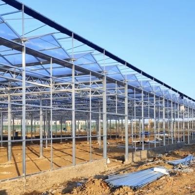 Cina Serra in vetro temperato con sistema di coltivazione idroponica in vendita