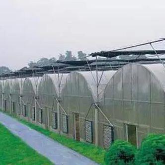 Cina 2000.000kg di pacchetto Peso lordo Sistema idroponico a panella singola per serre a doppio arco in vendita