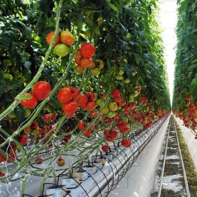 Cina Sistema idroponico a pellicola di riscaldamento temporanea per la coltivazione di ortaggi e fiori in serra in vendita
