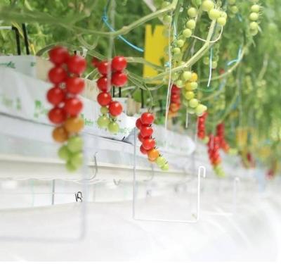 Cina Sistema idroponico anti gocciolante adatti all'inverno di pollame e bestiame in vendita